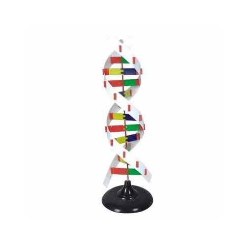 DNA Modeli Fiyatları ve Özellikleri